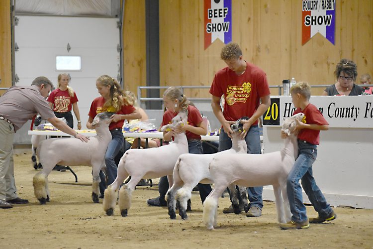 Full slate of events at Hamilton County Fair | News, Sports, Jobs - The ...